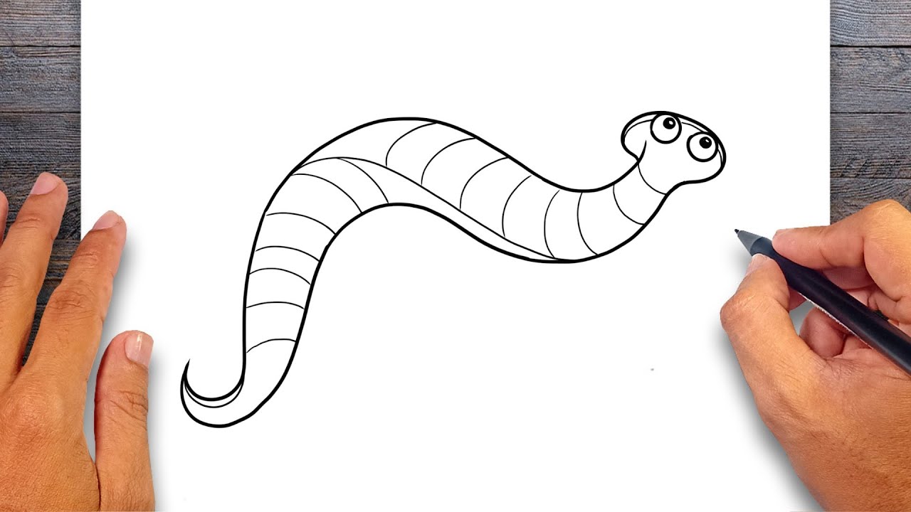 How To Draw Leech Annelids Drawing Youtube