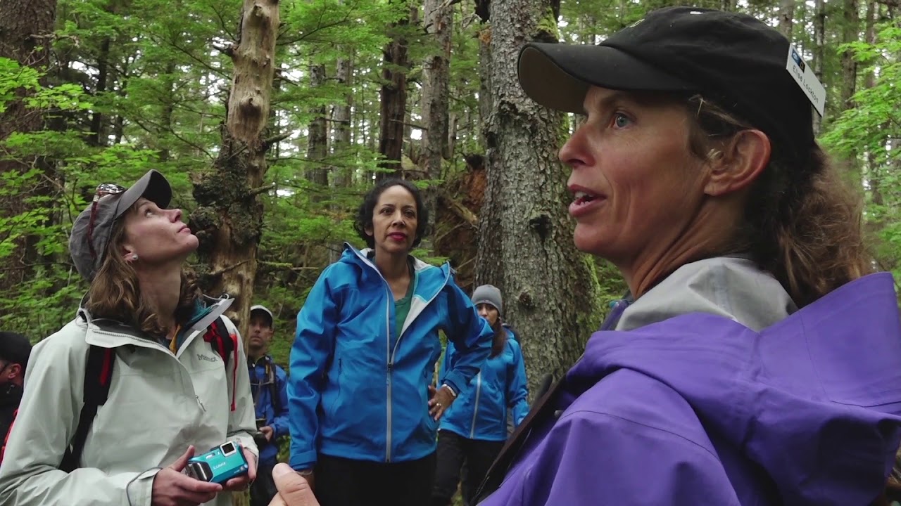 Temperate Rainforest Hike Alaska Lindblad Expeditions National