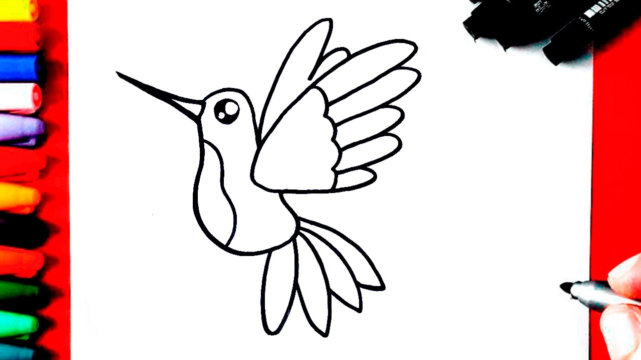 Cómo Dibujar Un Colibrí Youtube