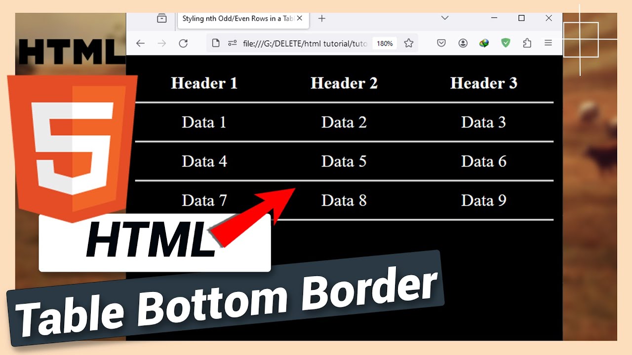 How To Add Bottom Border To Table Row Html And Css Tutorial Youtube