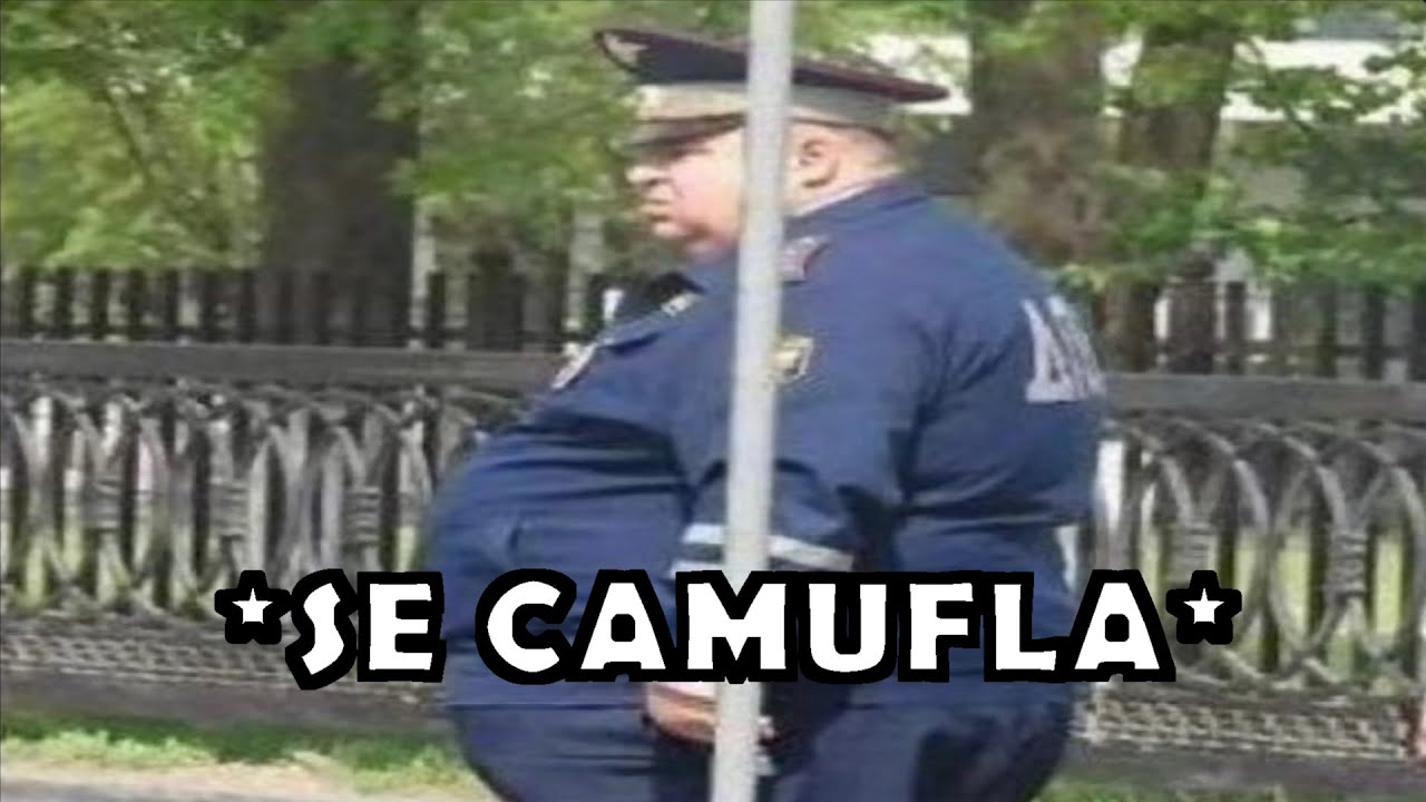 Shitpost Compilation V14 Especial 1k Subs Youtube