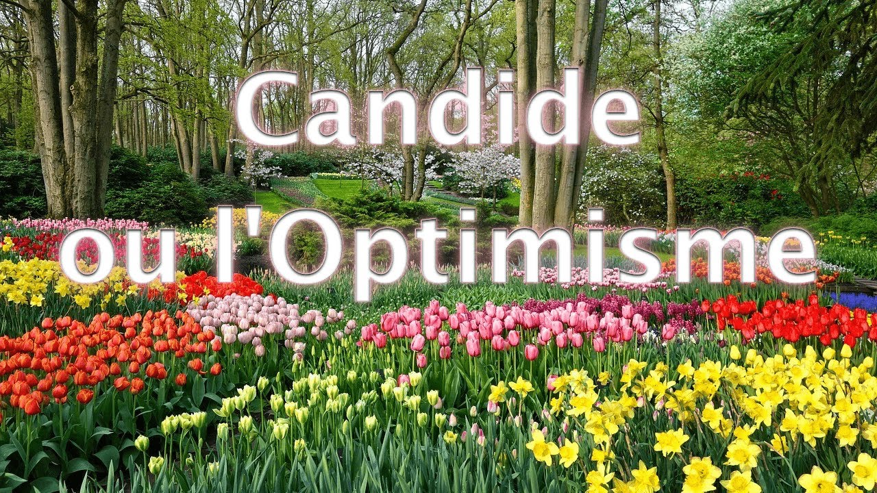Candide Chapitre 5 Youtube