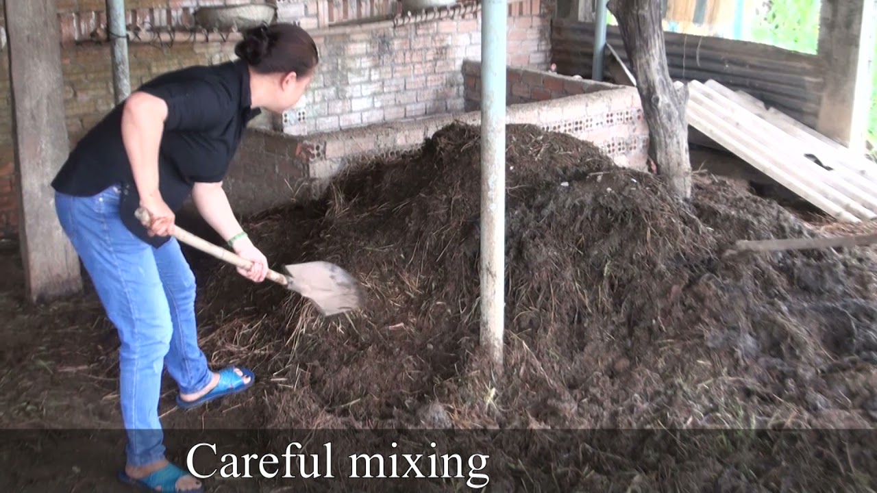 Trichoderma To Accelerate The Production Of Good Organic Compost