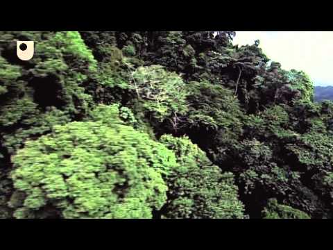 The Dot Bubble Top Documentary Films Top Documentary Films