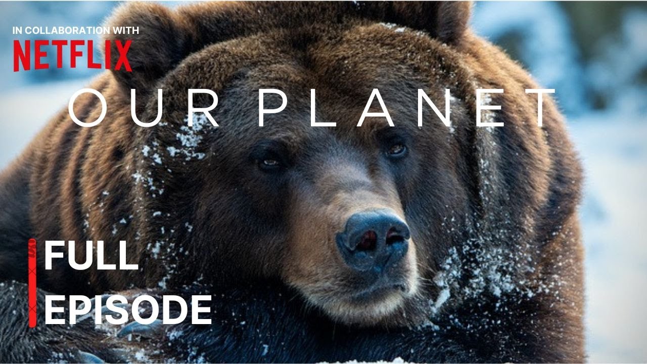 Our Planet Nature Wild Life Documentary Series Coll Netflix