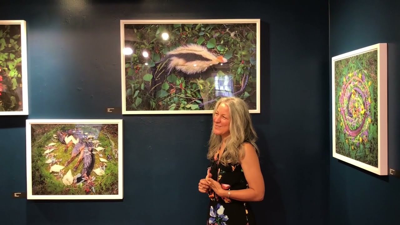 Amanda Stronza Art Of Mending Brick Store Museum Youtube