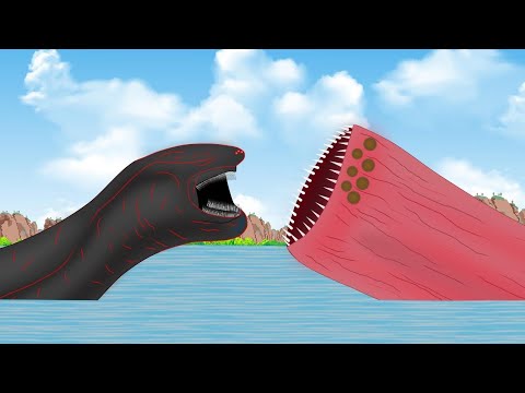 Worm Vs El Gran Maja Youtube