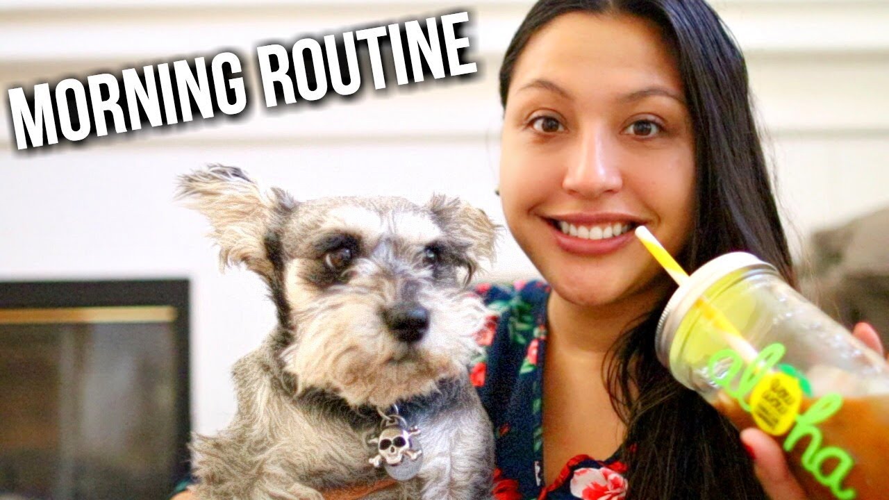 Realistic Morning Routine Youtube
