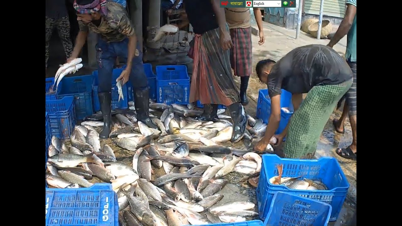 Bengali Fish Market In London At Joan Fleming Blog
