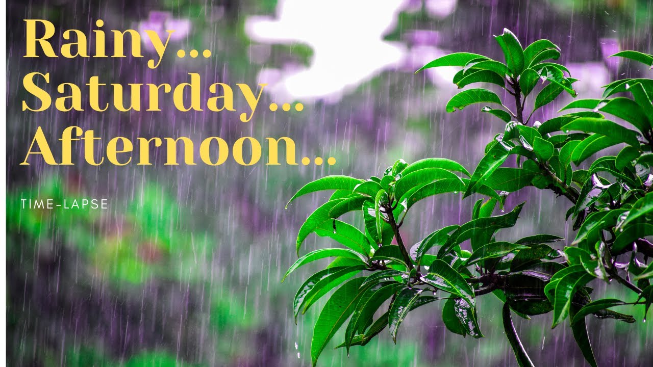 Rainy Saturday Afternoon Time Lapse Knowhelo Tv Youtube