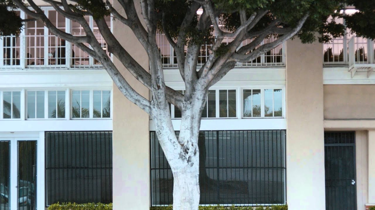 The Full Value Of Mobile How They Got There Youtube