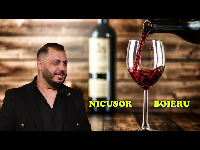Nicusor Boieru Cele mai tari melodii de petrecere Joc si voie buna