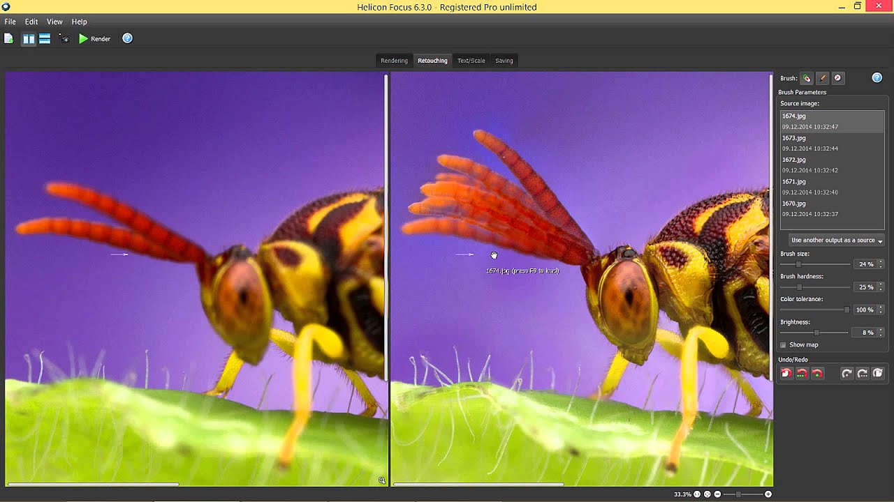 Quick Start With Focus Stacking And Helicon Focus Macro Helicon Remote