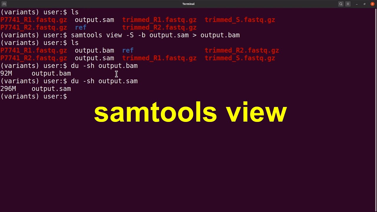 Samtools Tutorial Convert Sam To Bam Samtools View Youtube