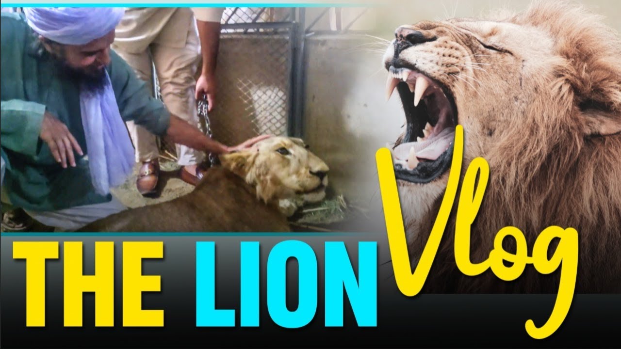 The Lion Vlog Mufti Tariq Masood Speeches ёяхл Youtube