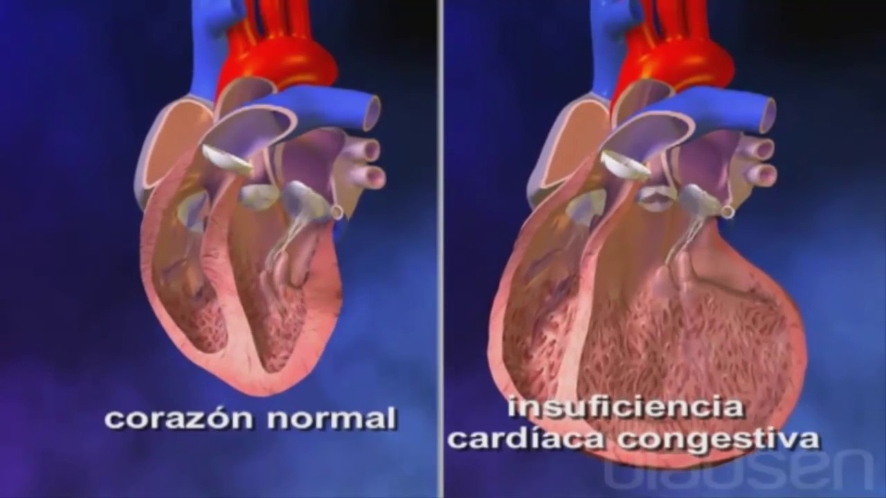 Fisiologia Cardiaca