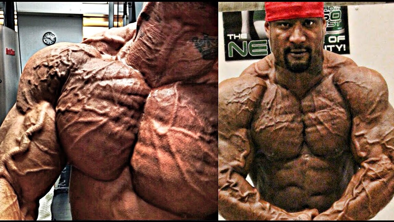The Most Vascular Bodybuilder Ever Youtube