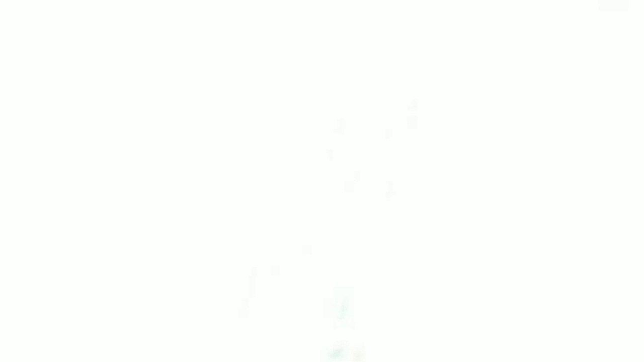Bright White Screen 1 Hour Pantalla Blanca Brillante 1 Hora Tela