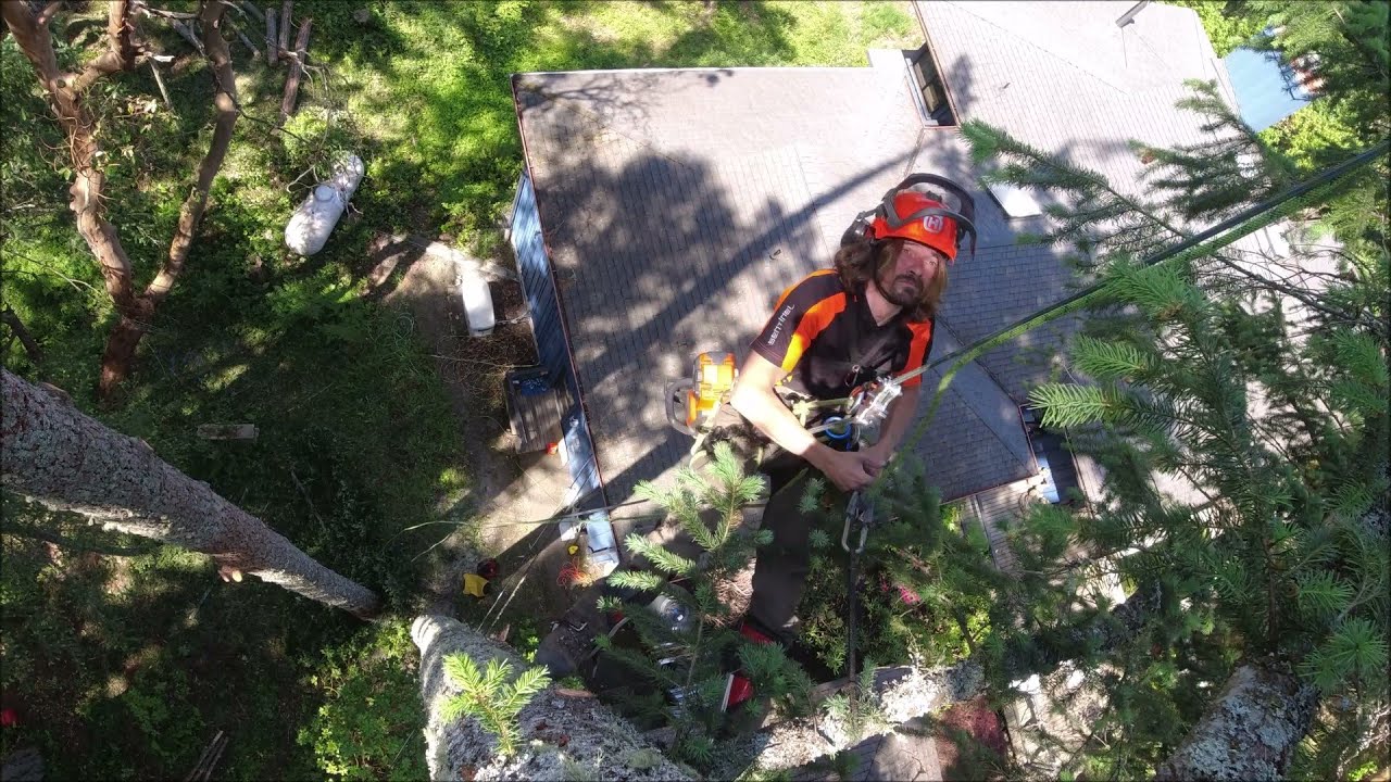 Solo Tree Rigging Youtube