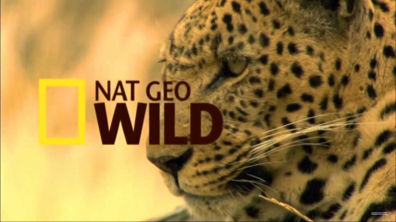Nat Geo Wild Siedcom