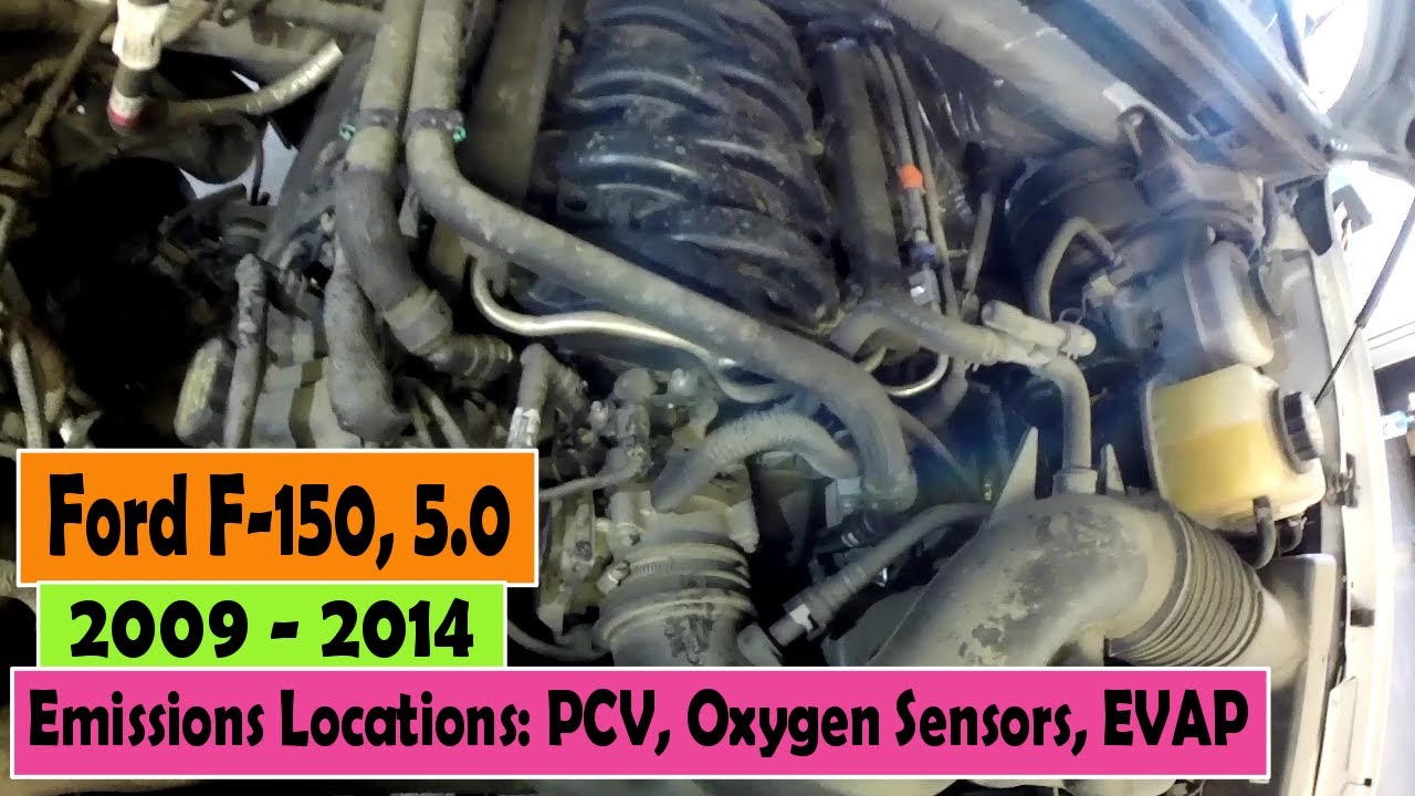2013 Ford Escape Evap Canister Purge Valve Location Demaxde