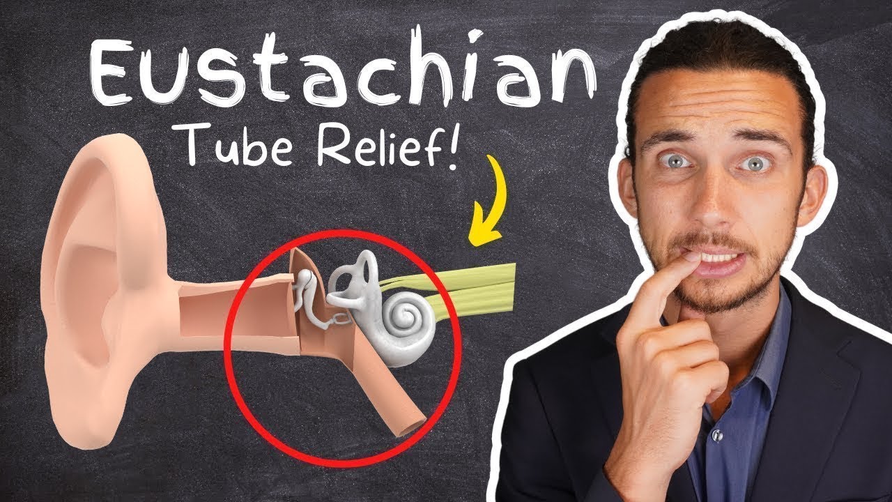 Eustachian Tube Dysfunction Causes Treatments Youtube