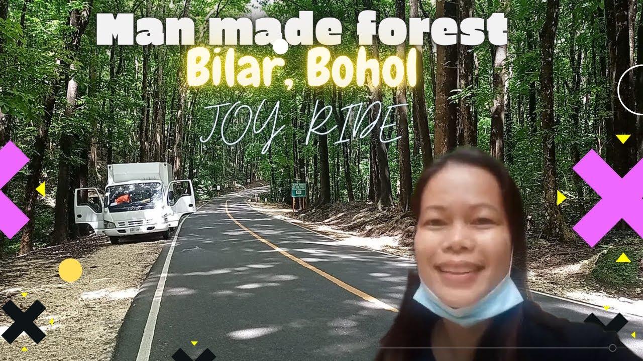 Joy Ride Man Made Forest Bilar Bohol Youtube