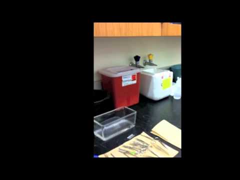 Microtome Tutorial Youtube