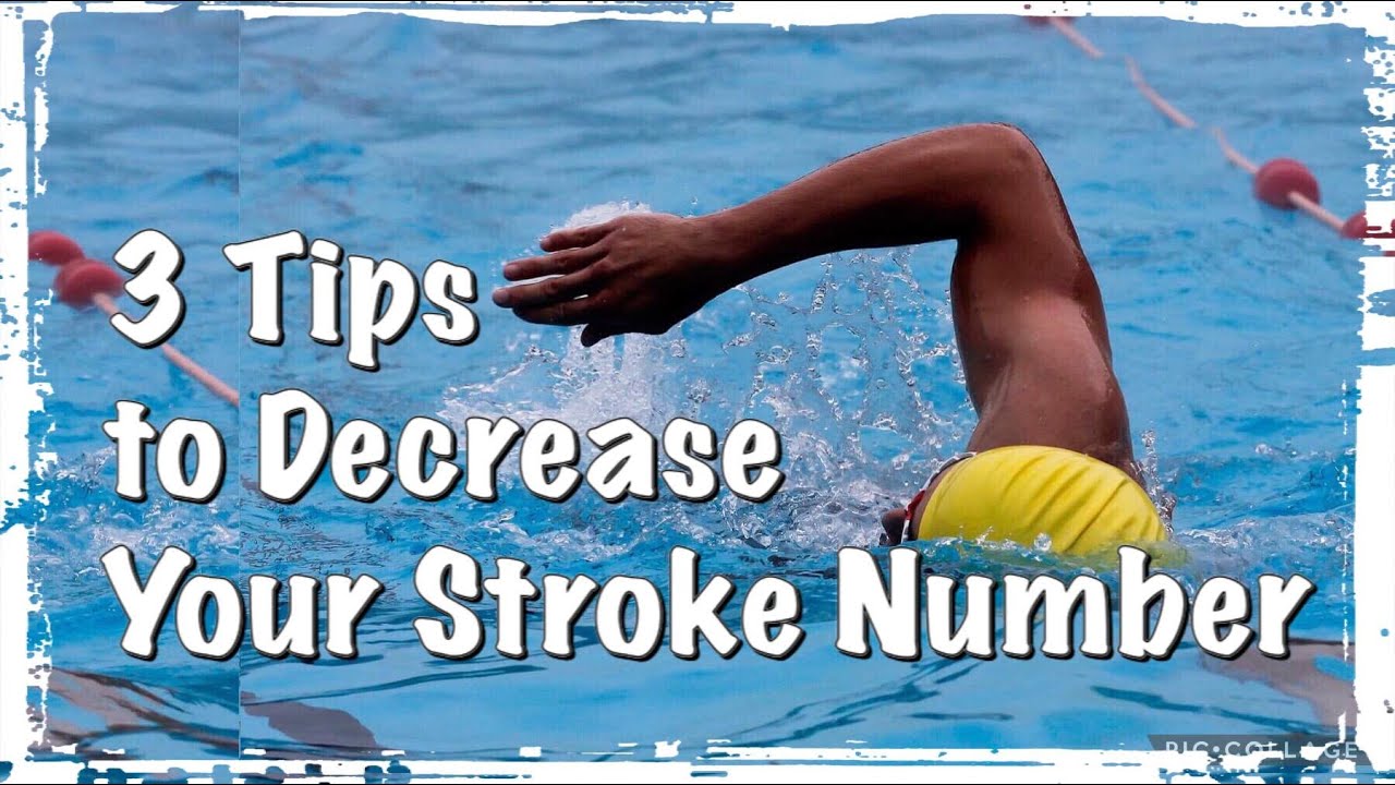 3 Tips To Decrease Your Stroke Number In Freestyle Swimming ストローク数を