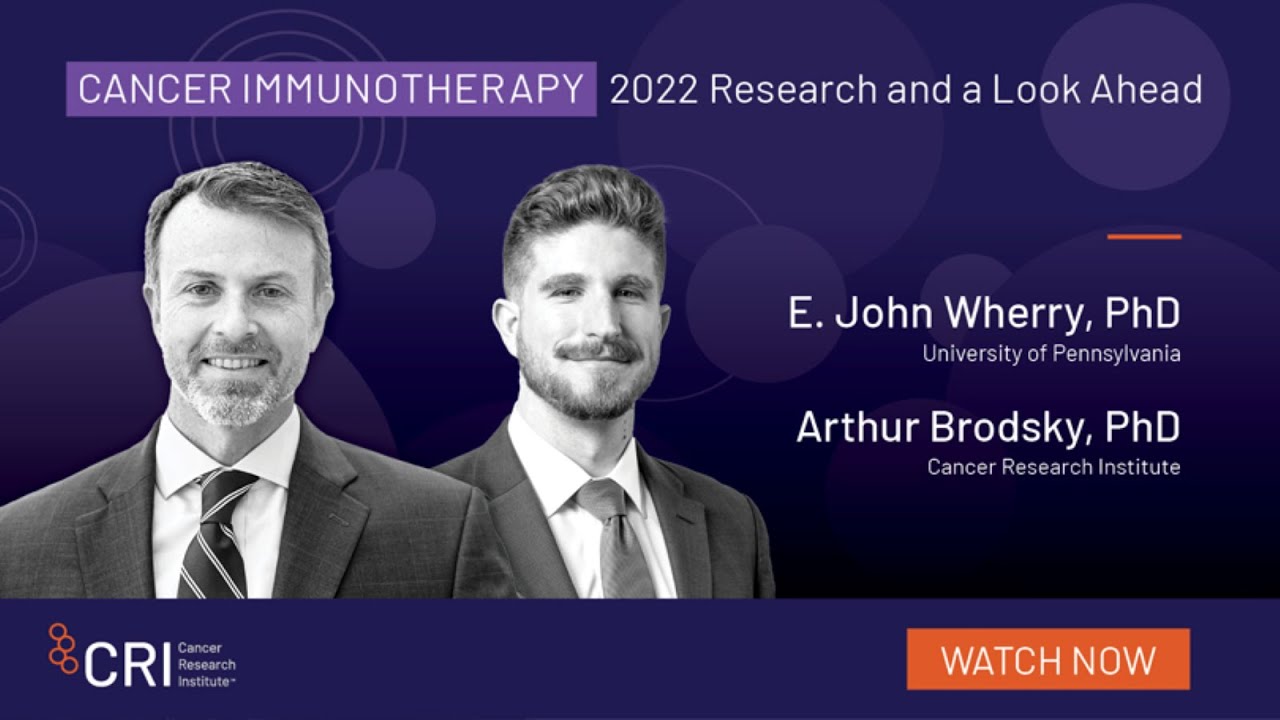 Cancer Immunotherapy 2022 Research And A Look Ahead With E John