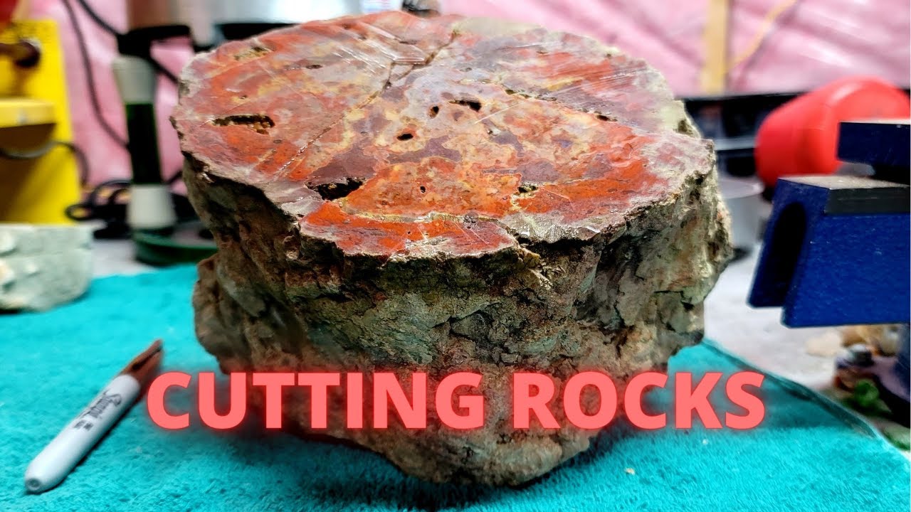 Cutting A 15lb Piece Of Petrified Wood Cutting Rocks 7 Youtube