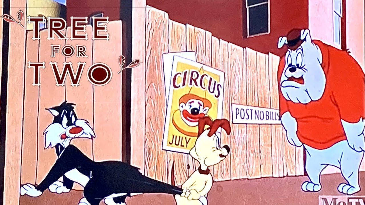 Tree For Two 1952 Merrie Melodies Sylvester The Cat Cartoon Short Film