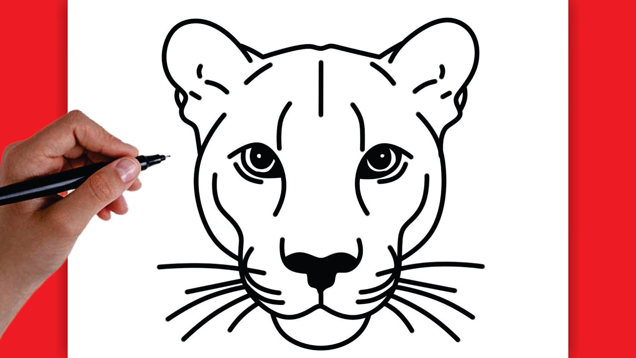 How To Draw Panther Drawing Step By Step Youtube