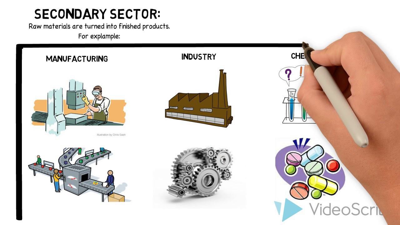 Secondary Sector Examples