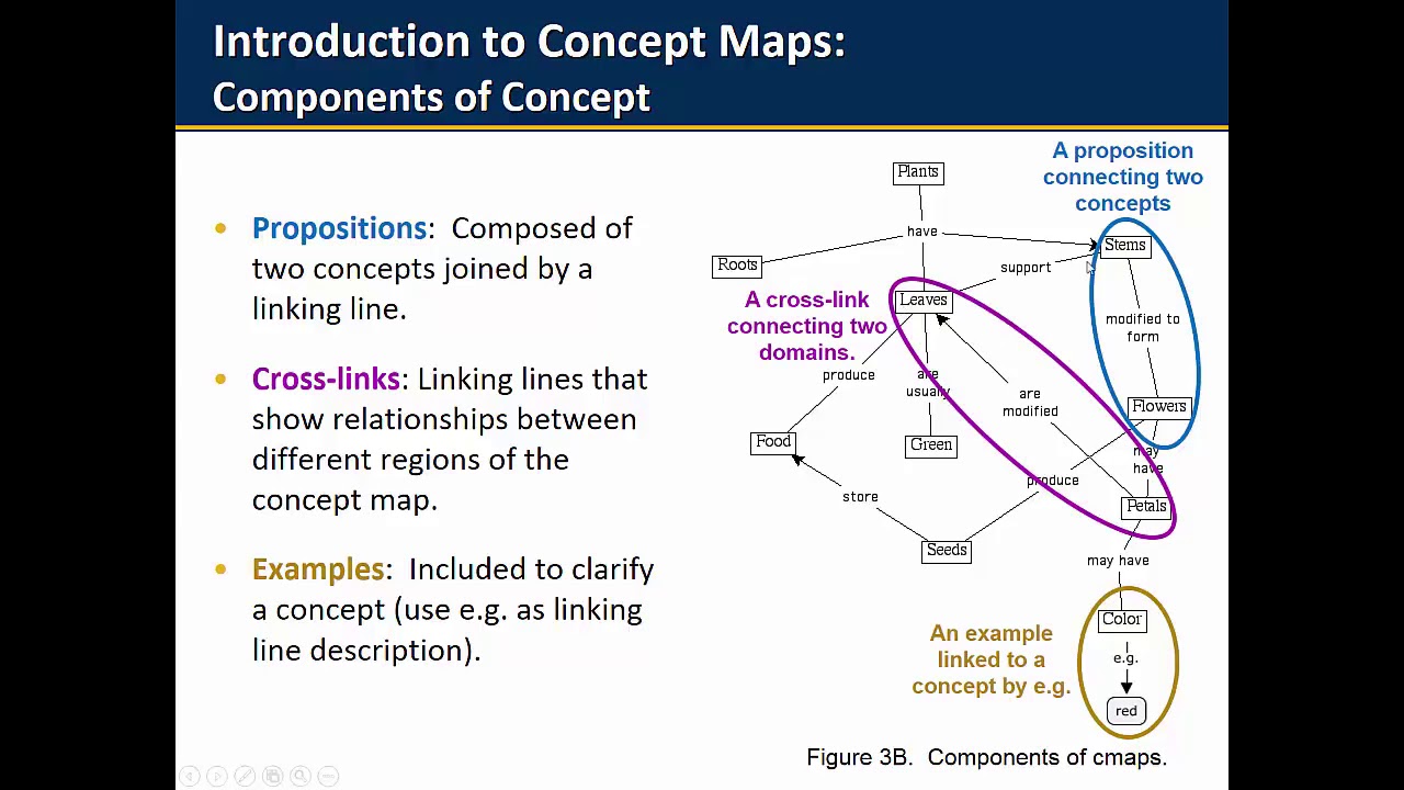 Concept Mapping Tutorial Youtube