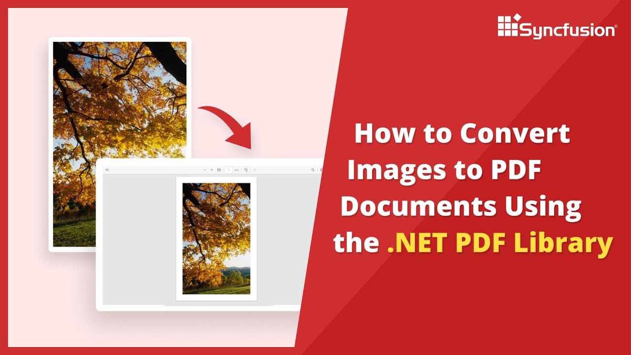 Net Pdf Library Converting Images To A Pdf Document Youtube