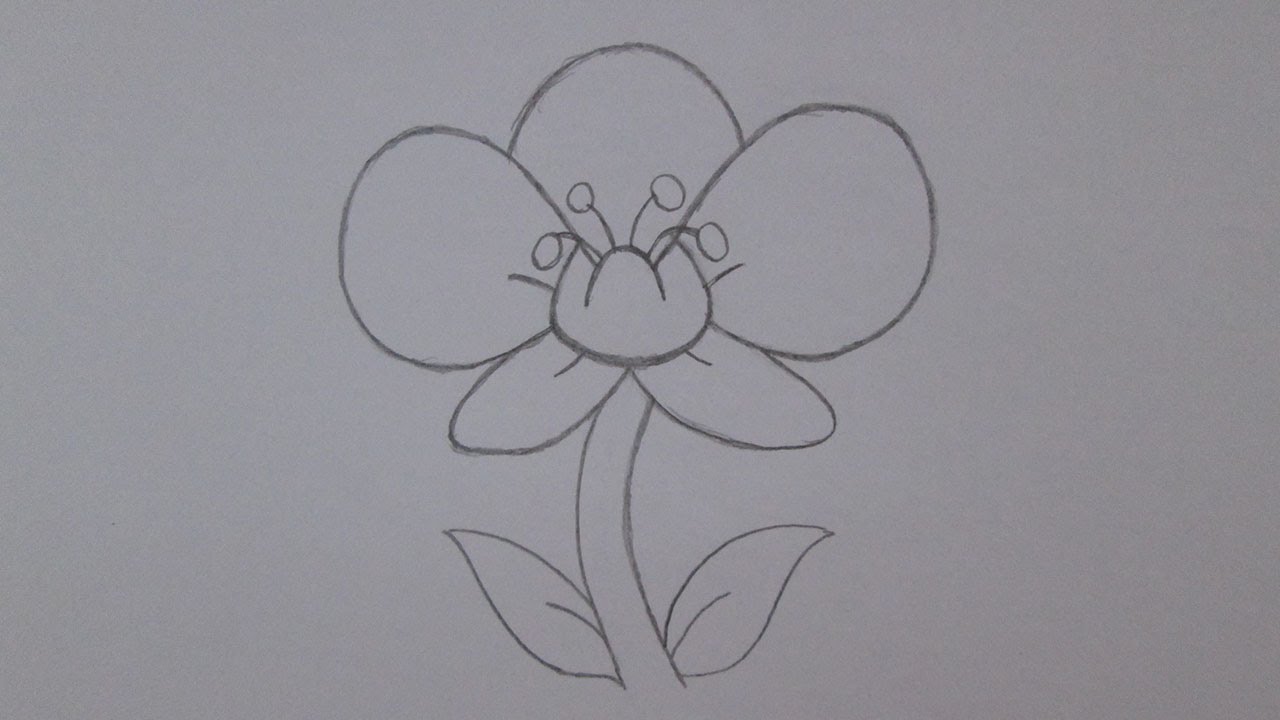 Cómo Dibujar Una Flor De La Orquídea Youtube