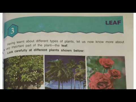 Class 3rd Lesson 3 Explaination Youtube