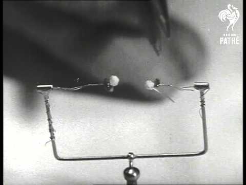 Flea Circus 1950 Youtube