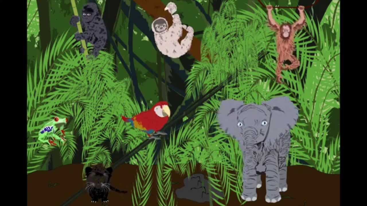 Endangered Animals Protecting Animals Around The World Youtube Music