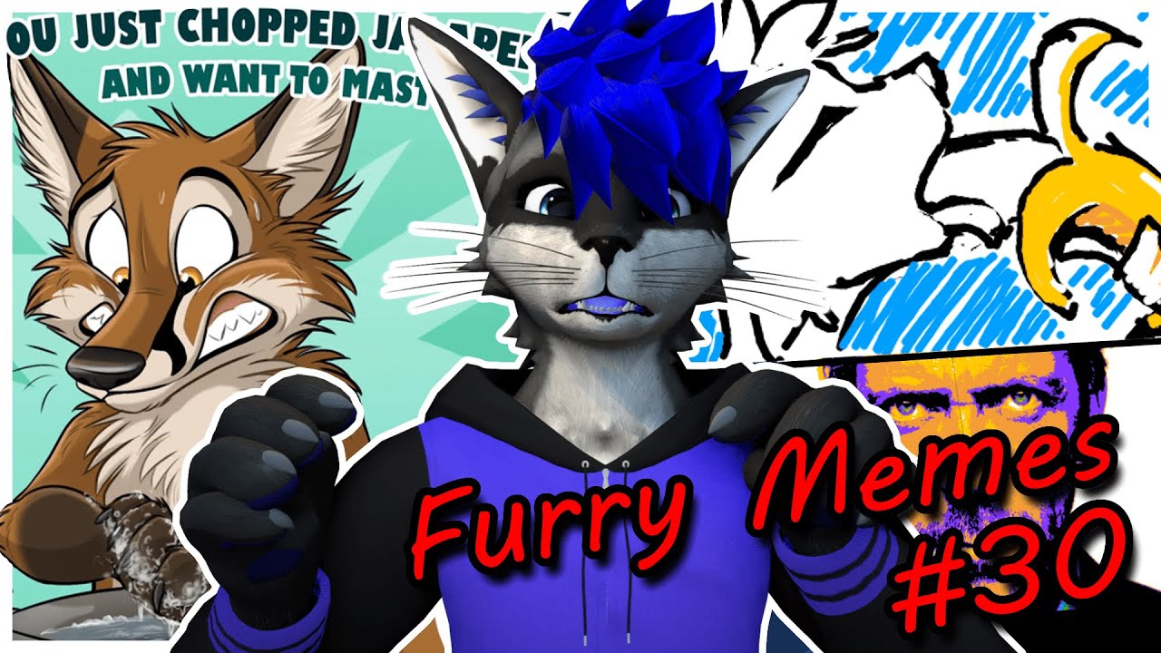 Furry Memes E621 Edition 30 Youtube