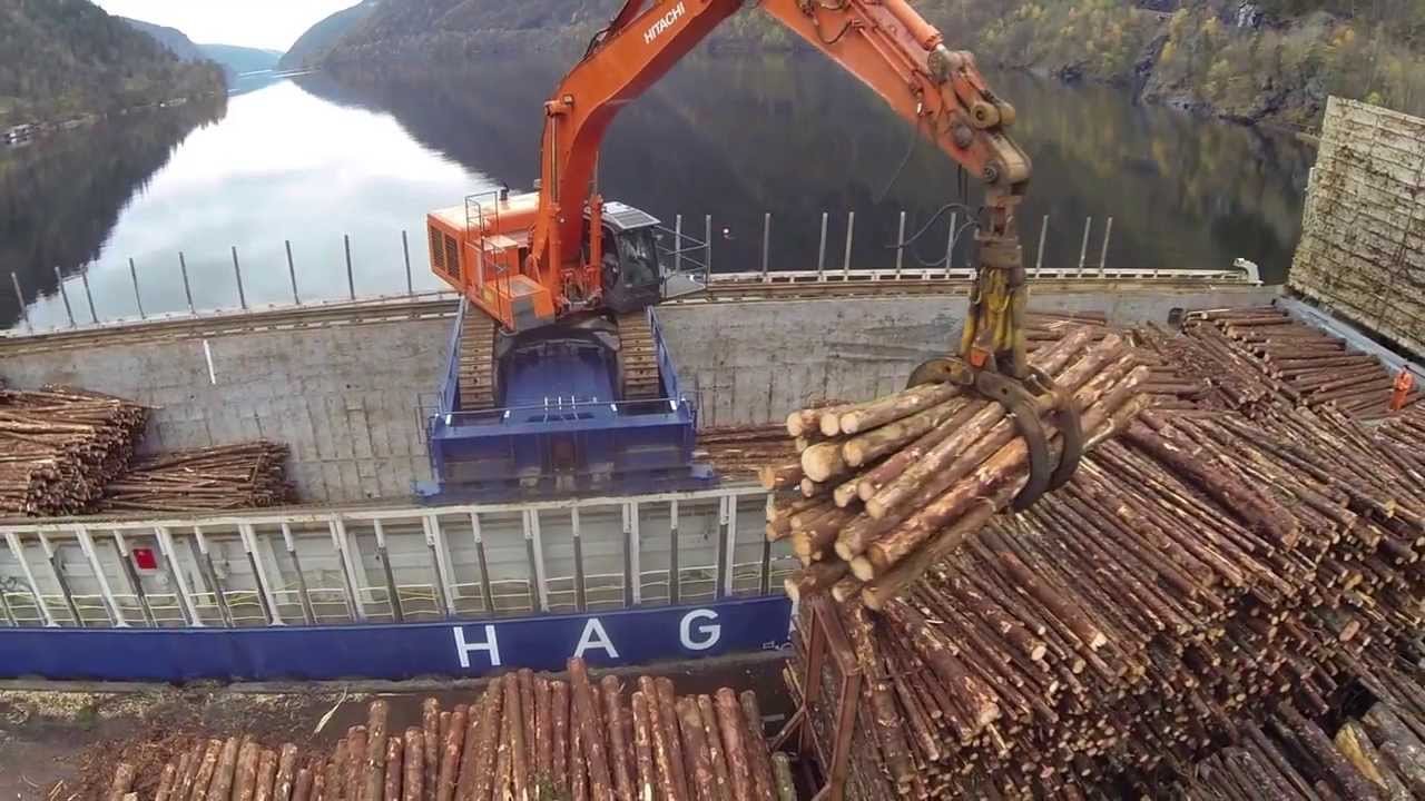 Timber Youtube
