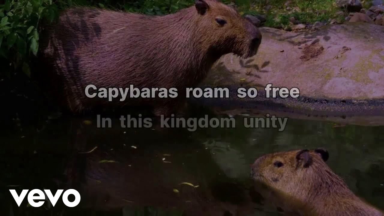 Chancelle Kingdom Of Capybaras Lyric Video Youtube