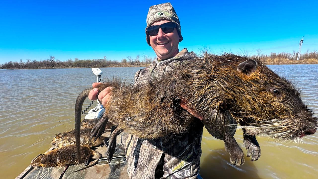 Hunting Giant Invasive Nutria Rats To Eat Catch And Cook Youtube