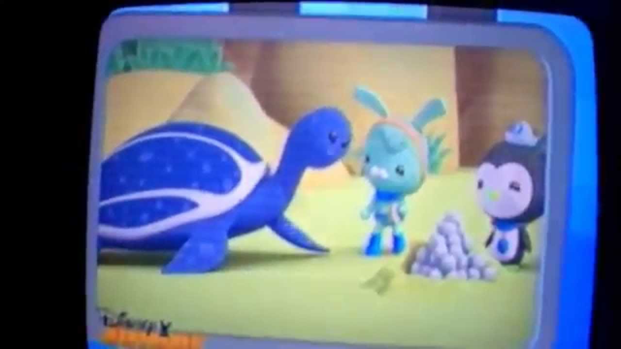 Octonauts Sayings