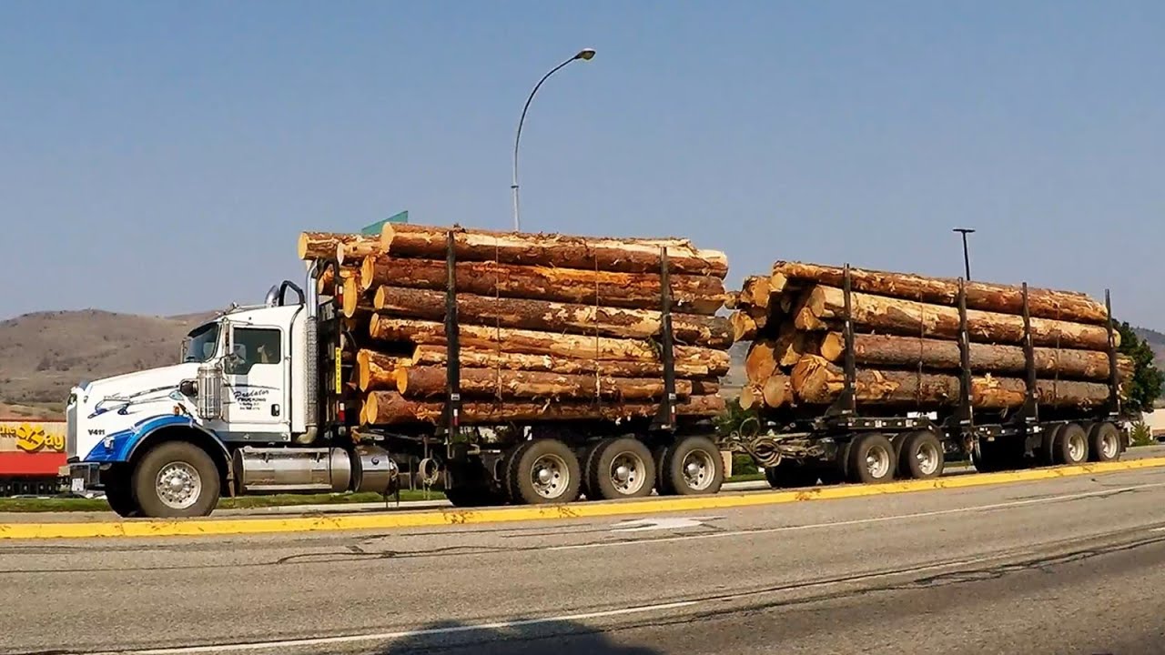 Logging Trucks 9 Loaded Logging Trucks Direct From The Mountains