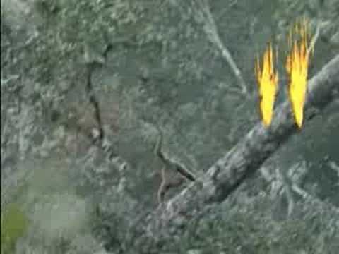 Exploding Monkey Youtube