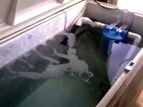 Bait Tank Youtube
