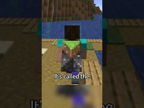 You Might Have A Rare Minecraft Cape Youtube