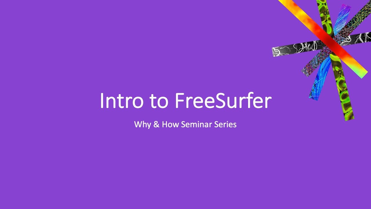 Intro To Freesurfer Youtube